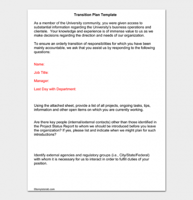 24 FREE Transition Plan Templates (MS Word and Excel)