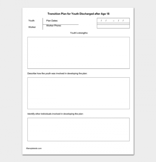 24 FREE Transition Plan Templates (MS Word and Excel)