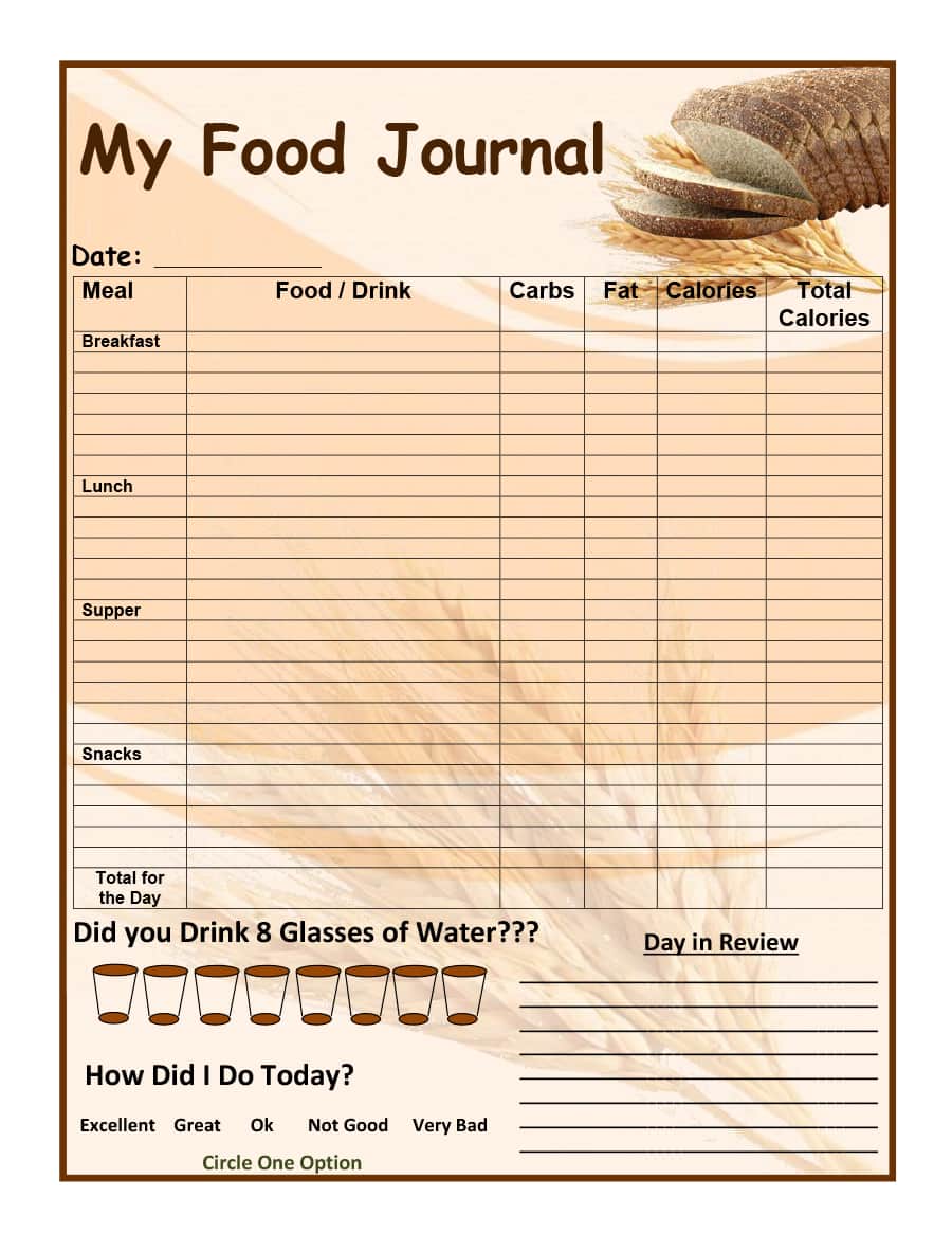 32 Editable Food Journal Templates - DocFormats